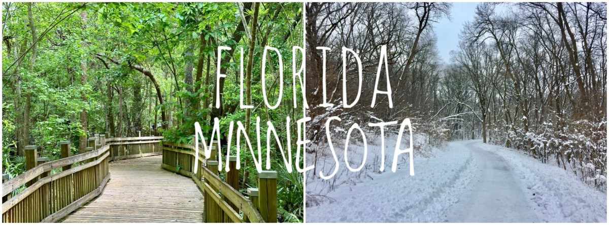 Two State Shuffle – MrFireStation